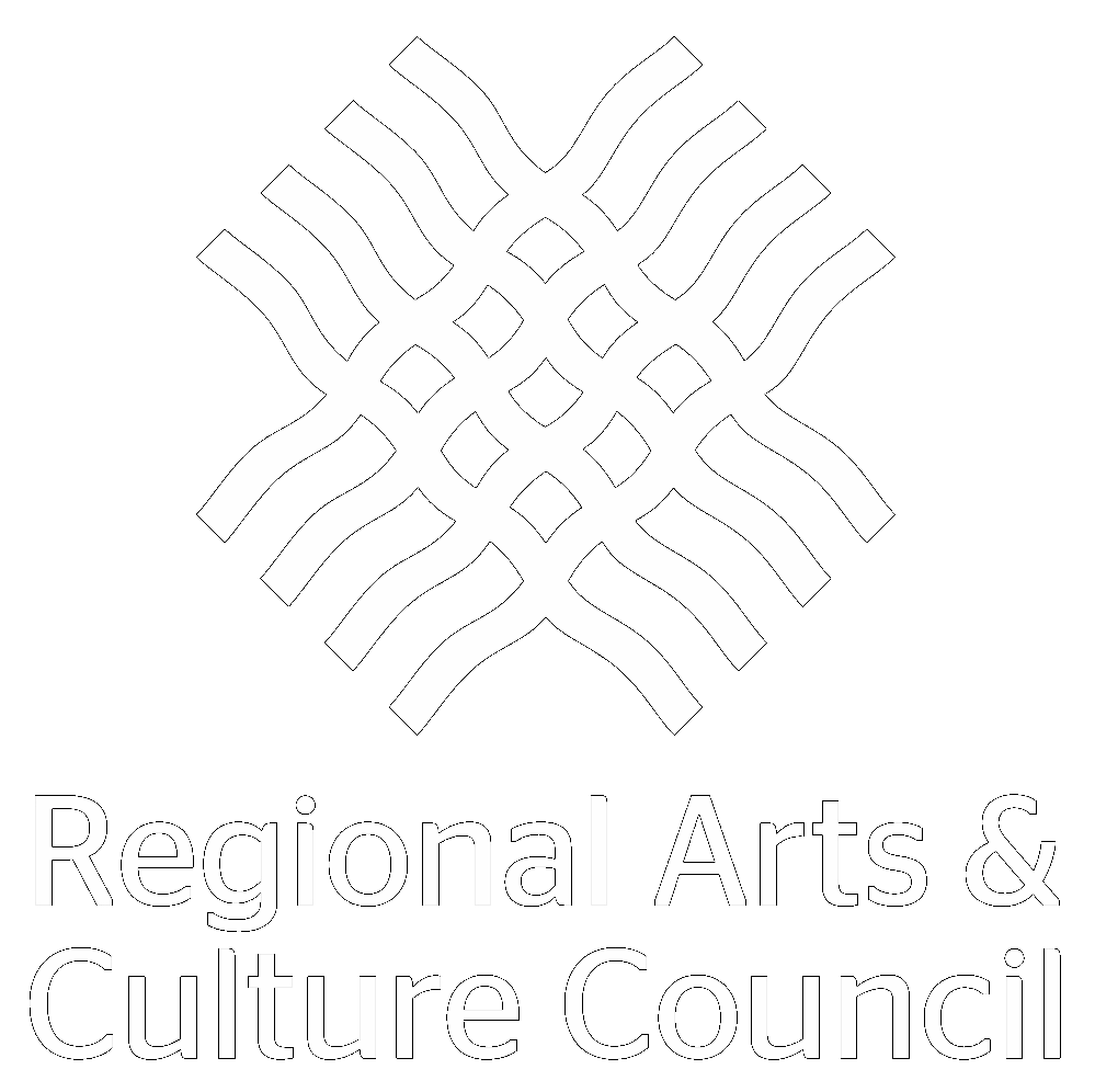 Arts and Accessibility Event: Ziplander and Savage Nightingale | CymaSpace